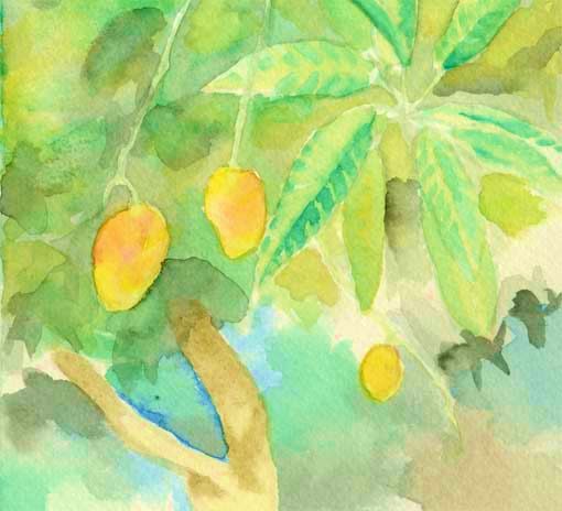 Āmra アームラ | Plants of Meghaduta