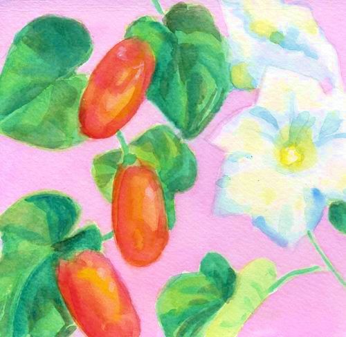 Bimba ビンバ | Plants of Meghaduta